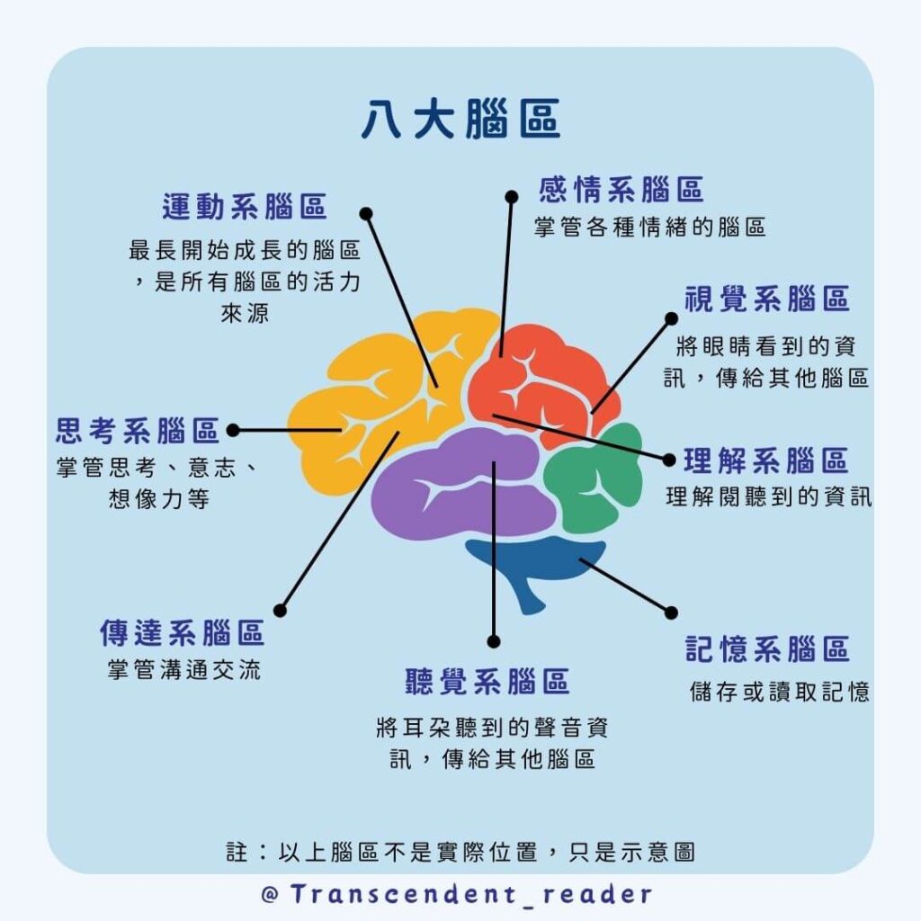 《30歲之後，才是你大腦的全盛期》讀後心得：掌握大人腦的正確學習方法 | 超閱者